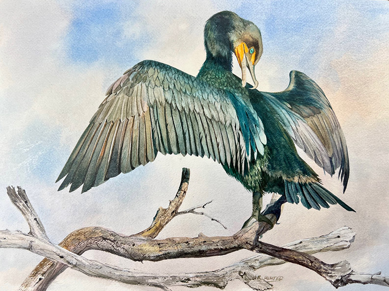 Ray Hunter, Artist, Waterhouse Gallery, Watercolor artist, Oak Group ...